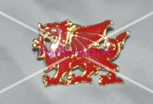 Welsh Dragon Enamel Lapel Pin [LP067] - £2.99 : Southern Regalia ...